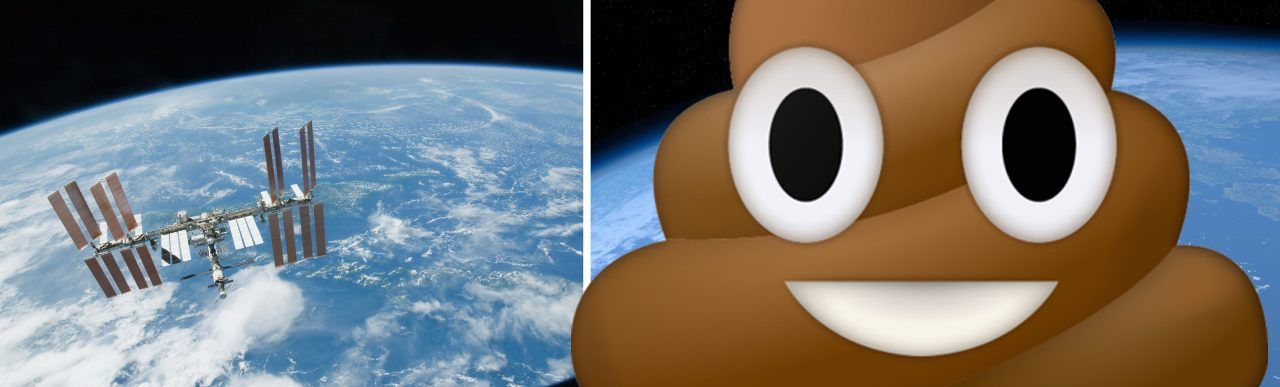 Sleep, eat and poop, in Space!